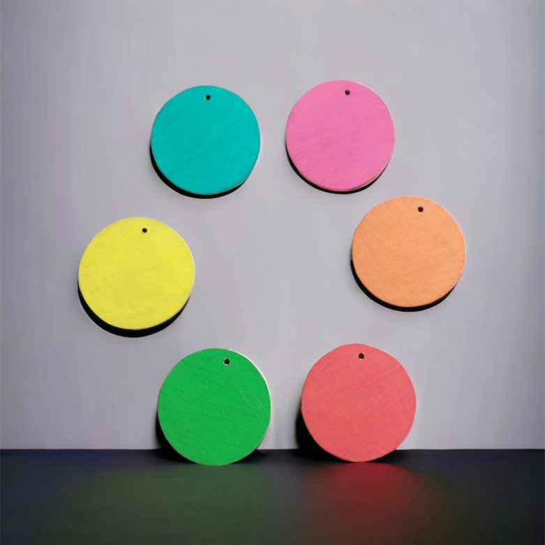 Ryst Wooden Montessori Rainbow Discs - Ryst Toys
